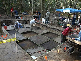 How to Become an Archaeologist: Education & Career Requirements