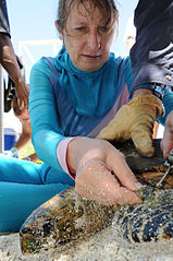 What Can You Do with a Zoology Degree?