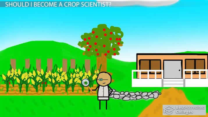 How to Become a Crop Scientist: Step-by-Step Career Guide