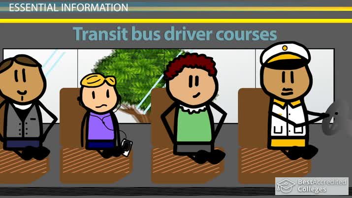 Transit Bus Driver Courses and Classes Overview