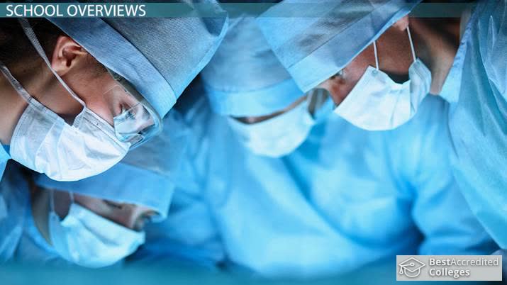 Best Colleges for Surgeons: List of Top Medical Schools