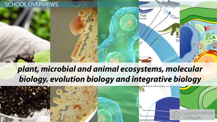 Best Biology Graduate Programs: List of Top Schools