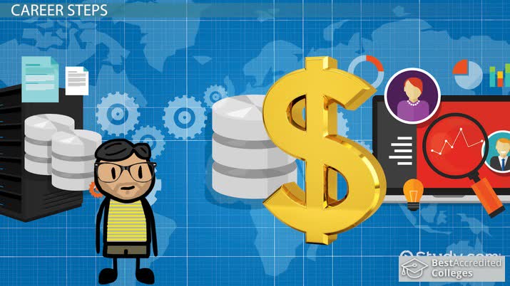 How to Become a Systems Analyst: Salary, Degree & Training