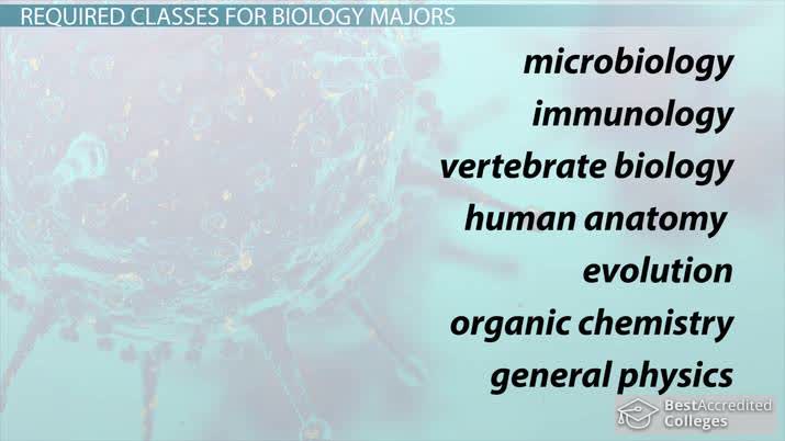 What Classes Do You Need To Get A Bachelor's Degree in Biology?