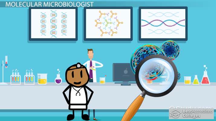 Become a Molecular Microbiologist: Education and Career Roadmap