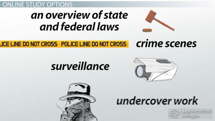 How to Become a Licensed Private Investigator Online