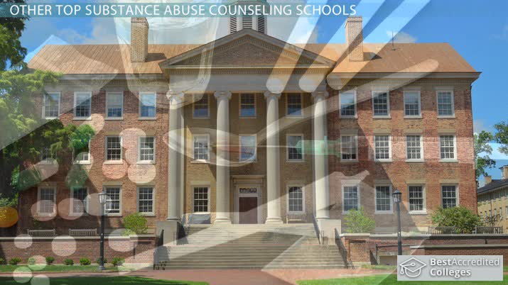 Top Schools for Substance Abuse Counseling
