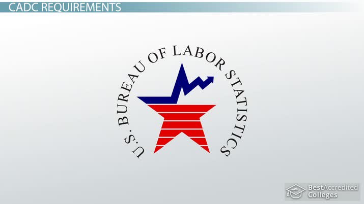 Online CADC Training and Education Programs Online CADC Training and Education Programs