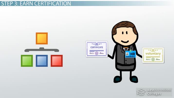 How to Become an HR Coordinator: Education and Career Roadmap